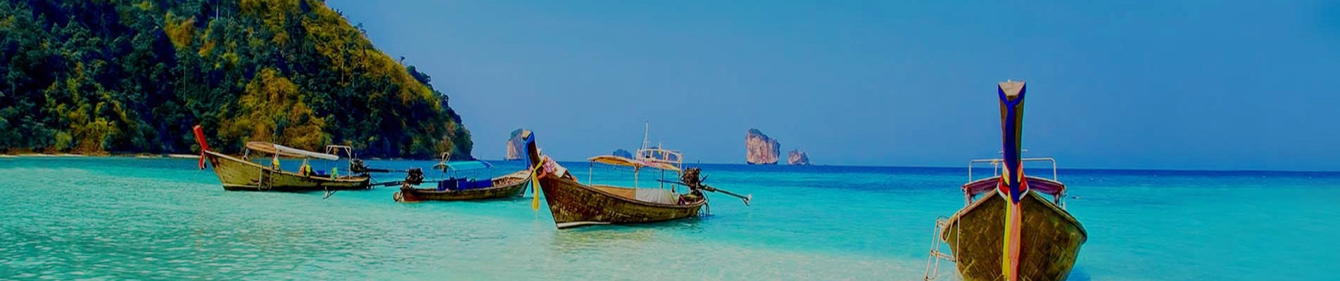 International Tour - Smart Holiday Shop